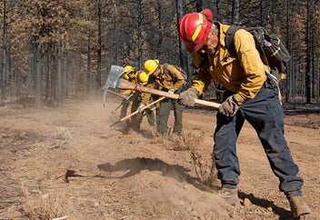 Forestry Shovel - Wildland Firefighting Tools – Cascade Fire Equipment